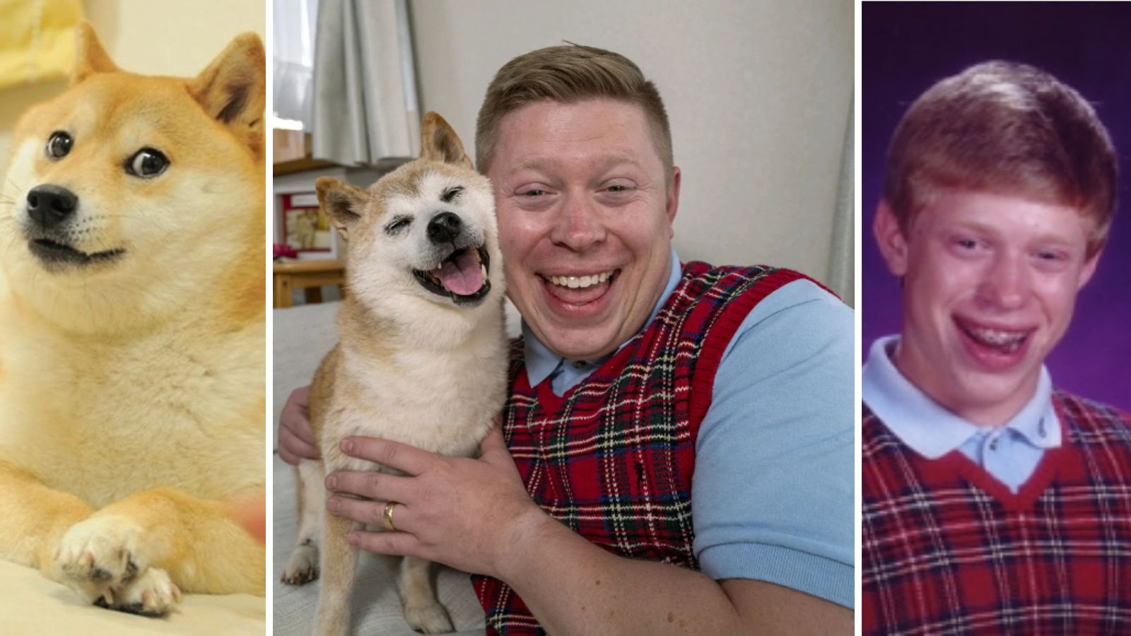 ¡Épico encuentro, dos memes en la misma habitación! Perrito Doge y Bad Luck Brian se conocen y ...