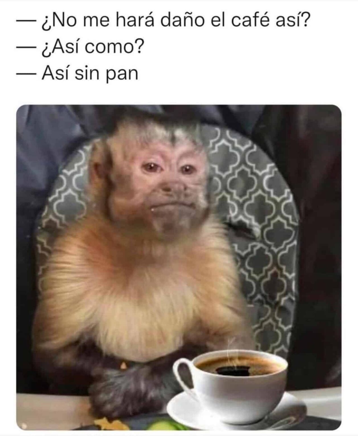Los mejores y más virales memes de 2022 👉 👉️ En Blanco y Negro