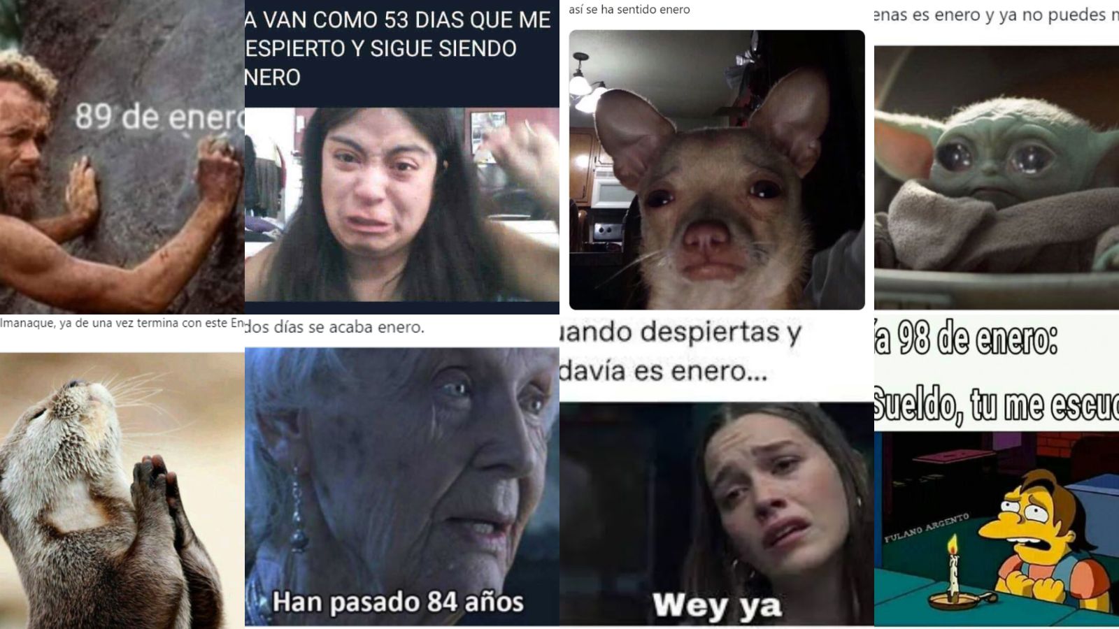 ¡Al fin terminó!: Los mejores memes del “Eterno Enero” ¿Por qué parece ...