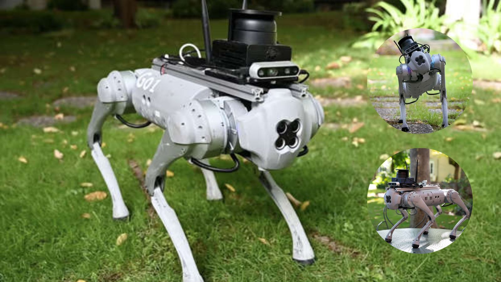 “Hola, soy Tefi”: Crean un robot que busca reemplazar a los perros guía ...