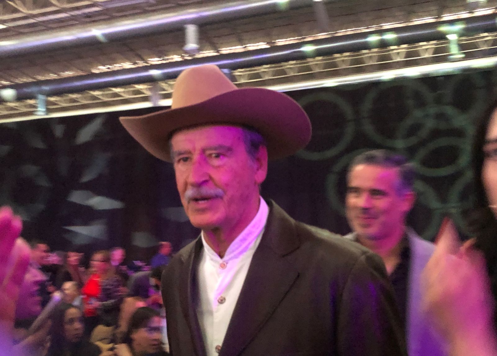 Chihuahua es único igual que Maru: Fox 👉 Local 👉️ En Blanco y Negro