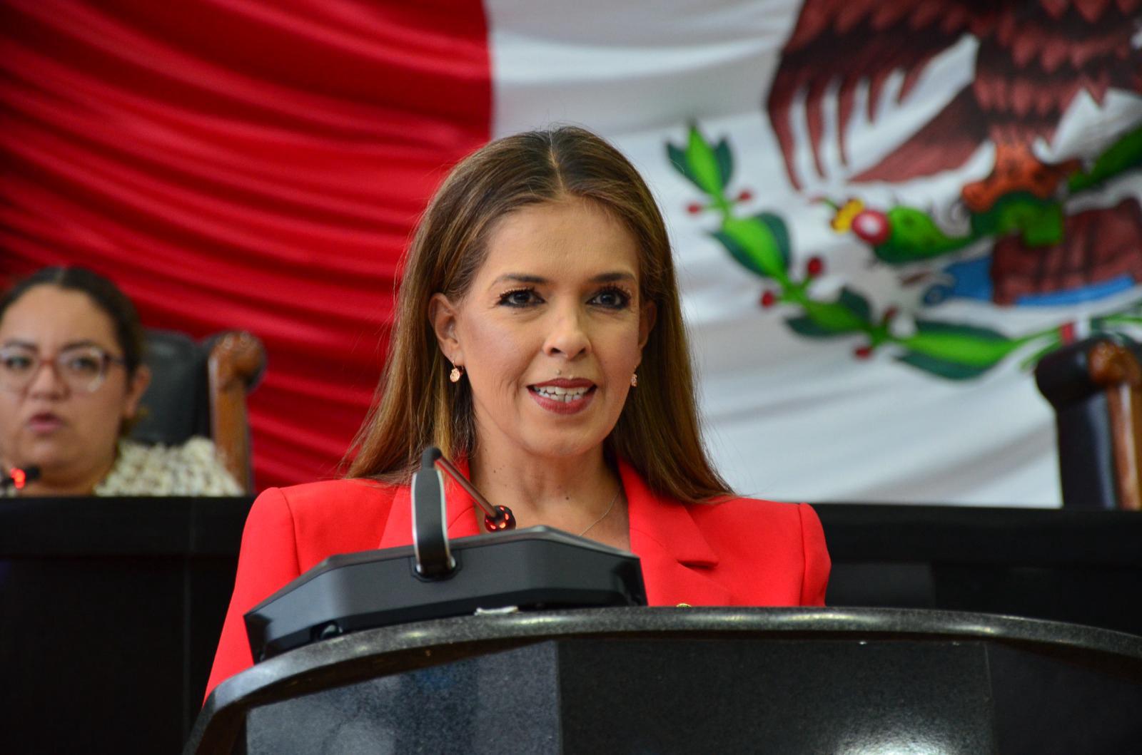 Diputada Xóchitl Contreras exige al Gobierno Federal a través de la FGR investigue los abusos en ...